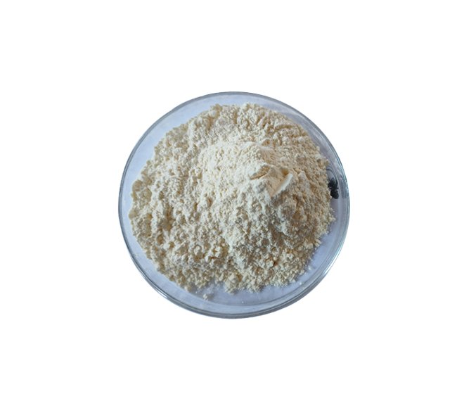 Garlic Product