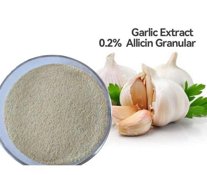 Garlic Extract 0.2%-5% Allicin