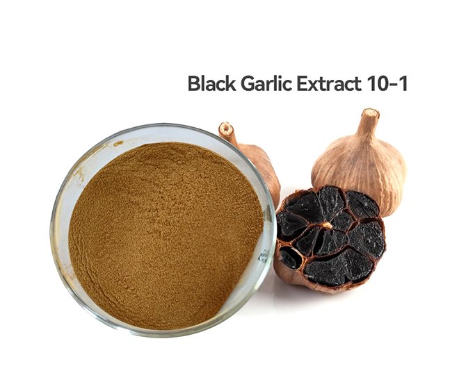 Black Garlic Extract