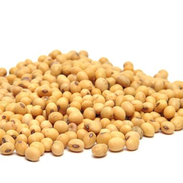 Soy Isoflavones (Genistein And Daidzein) Extract