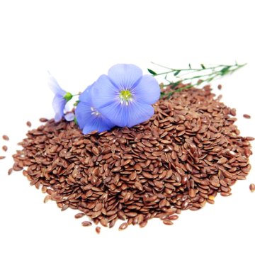 Flaxseed Extract